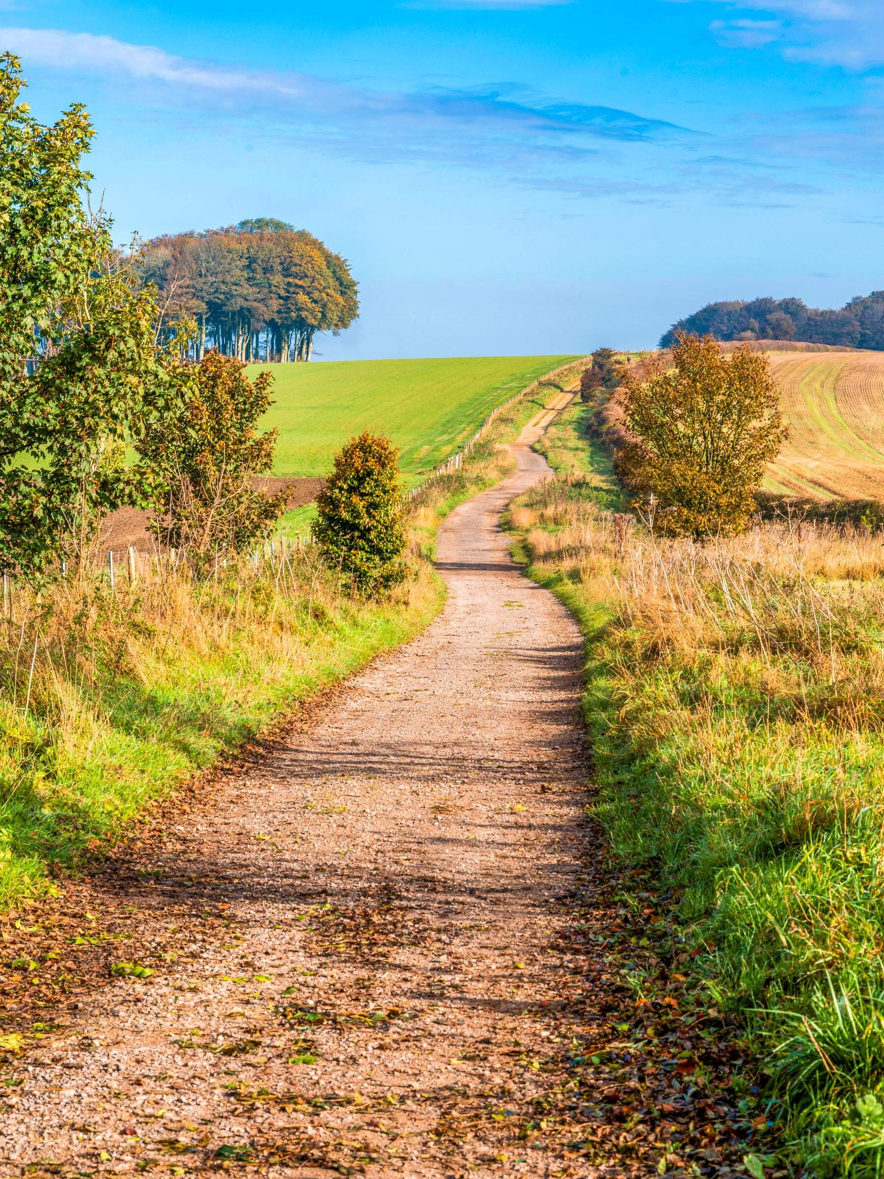 The Ridgeway: A Guide To Hiking In Wantage, Oxfordshire - Wantage Town ...